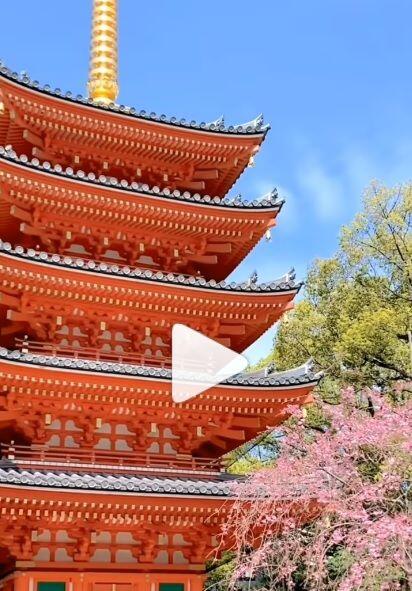 Tōchō-ji (東長寺) en primavera. Es un templo Shingon en Hakata, Fukuoka ...